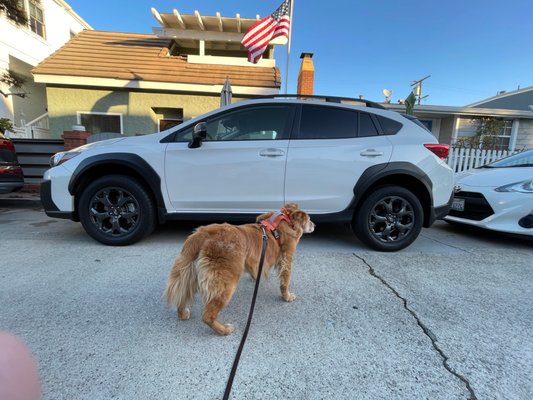 SUBARU SANTA MONICA - Updated October 2025 - 125 Photos - 1236 Reviews ...