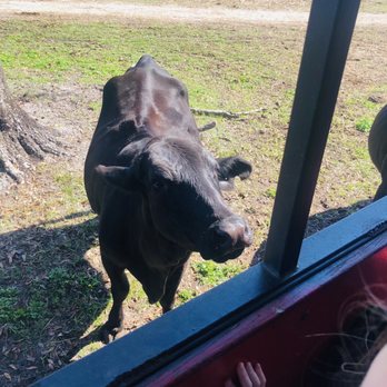 DIAMOND D RANCH - Updated December 2025 - 64 Photos & 22 Reviews - 5903 ...