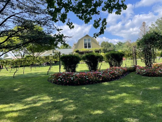 CROSSING VINEYARDS & WINERY - Updated July 2025 - 228 Photos & 201 ...