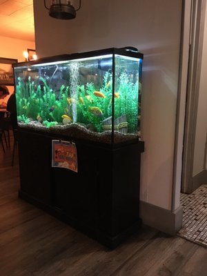 THE WHARF - 80 Photos & 32 Reviews - Cocktail Bars - 201 W 1st Dr ...