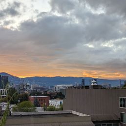 NOBLE ROT - Updated July 2025 - 775 Photos & 742 Reviews - 1111 E ...