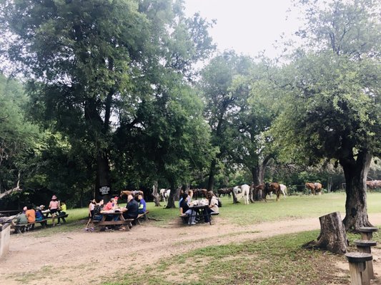 MAYAN DUDE RANCH - 42 Photos & 28 Reviews - Bandera, Texas, United ...