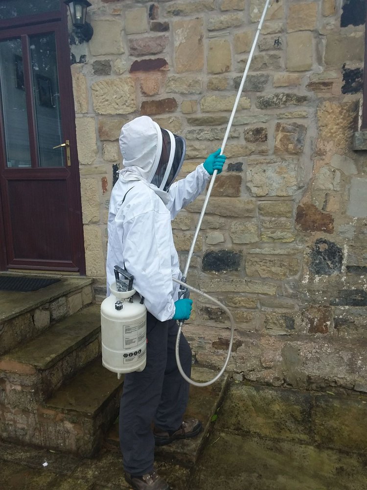 HERCULES PEST SOLUTIONS - Longsight Rd, Blackburn, Lancashire, United ...