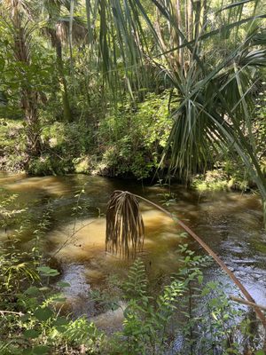 THE MYRON AND HELEN GIBBONS NATURE PRESERVE - Updated July 2025 - 42 ...