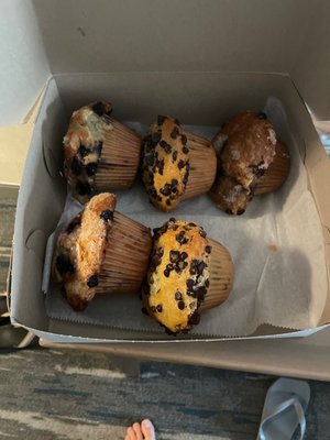 MUFFIN HOUSE CAFE - 59 Photos & 58 Reviews - 296 Washington St ...