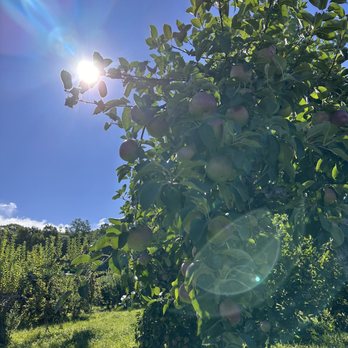 MASKER ORCHARDS - Updated October 2024 - 359 Photos & 221 Reviews - 45 ...