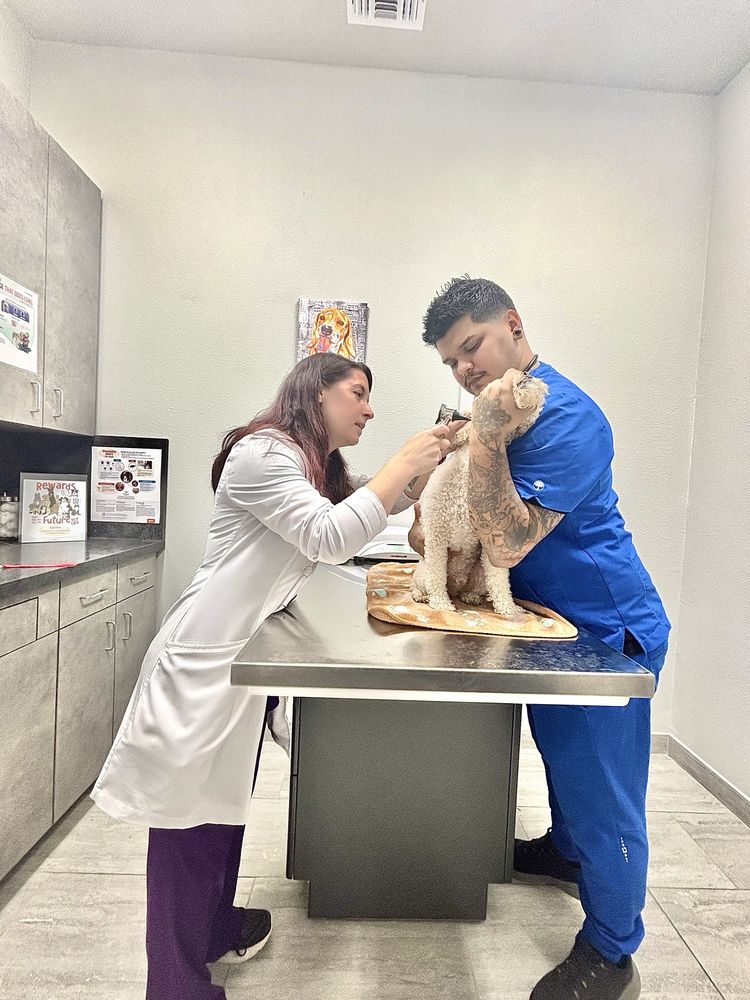 PENNY PAWS ANIMAL HOSPITAL - SAN ANTONIO - Updated December 2025 - 3179 ...