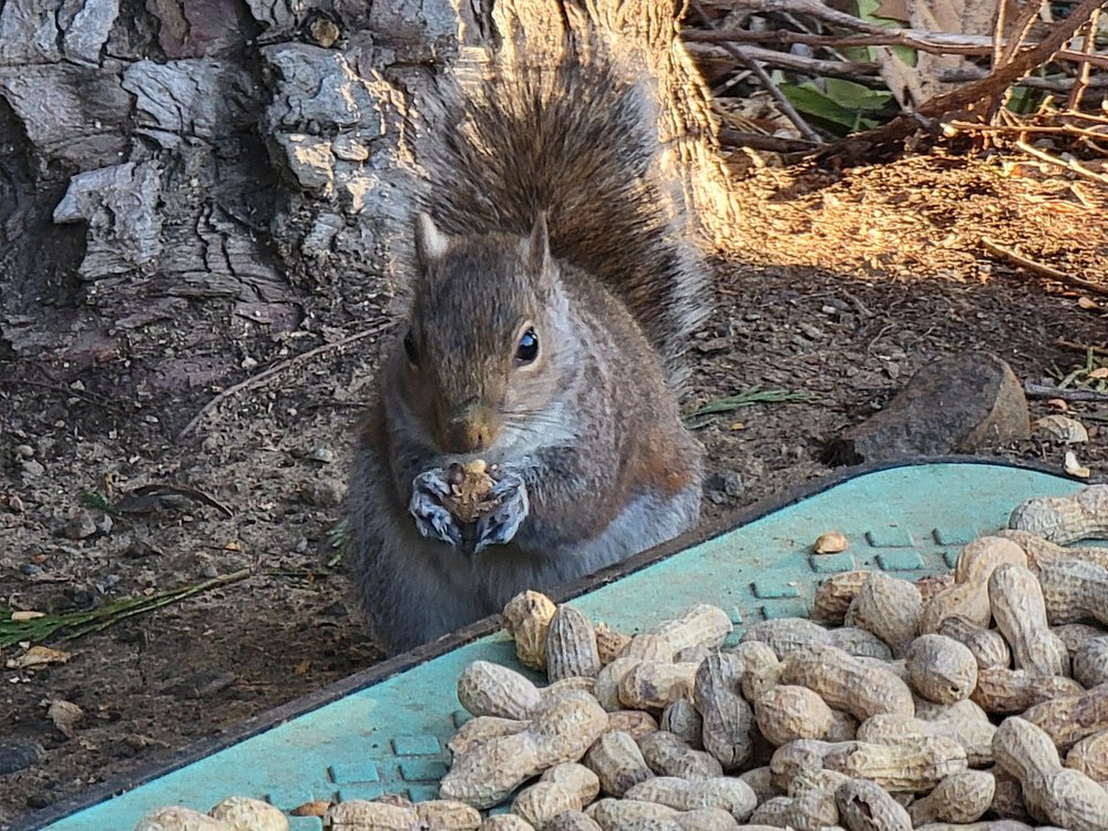 ADVENTIST HEALTH PORTLAND - Updated November 2025 - 48 Photos & 117 ...