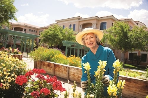 THE TERRACES OF PHOENIX - Updated January 2026 - 22 Photos & 28 Reviews ...