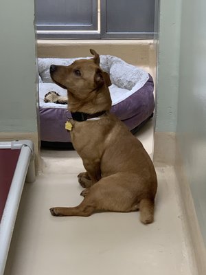 OREGON HUMANE SOCIETY - 133 Photos & 204 Reviews - 1067 NE Columbia ...