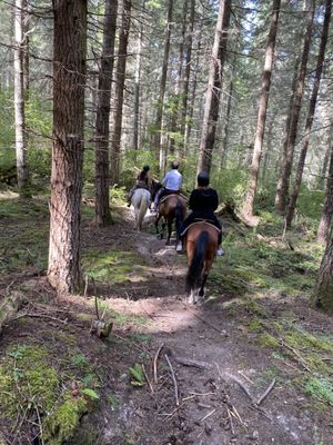 RED HAWK STABLES - Updated July 2024 - 15 Photos & 14 Reviews - 1445 ...