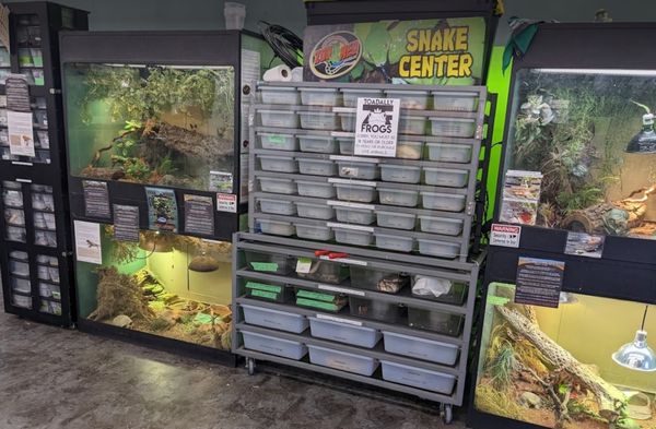 TOADALLY FROGS - Updated December 2025 - 14 Photos - 504 Orchard St ...