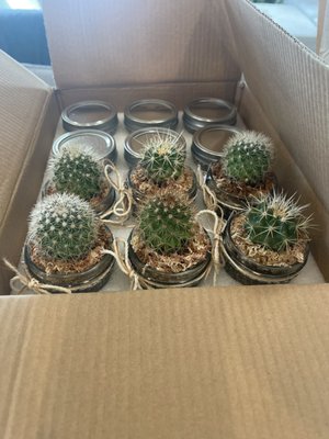 BUENA CREEK NURSERY - Updated April 2024 - 12 Reviews - 1280 Sunset Dr ...