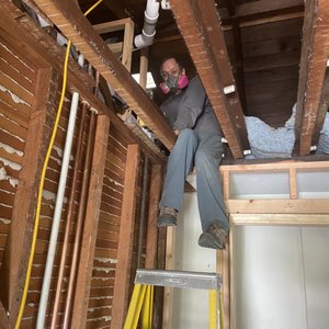 THE GREEN PLUMBER - 54 Photos & 213 Reviews - 4224 E Colorado St, Long ...