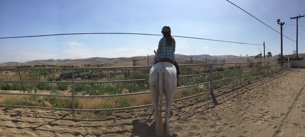 STEPP STABLES - Updated January 2026 - 26 Photos & 21 Reviews - Camp ...