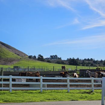 CHANSLOR RANCH - Updated December 2025 - 194 Photos & 148 Reviews ...