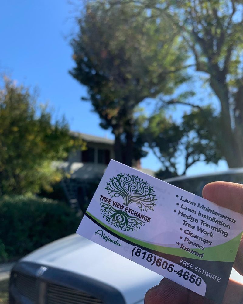 TREE VIEW EXCHANGE - Updated August 2024 - Los Angeles, California ...