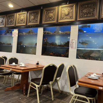 JOYALE SEAFOOD RESTAURANT - Updated November 2024 - 484 Photos & 200 ...