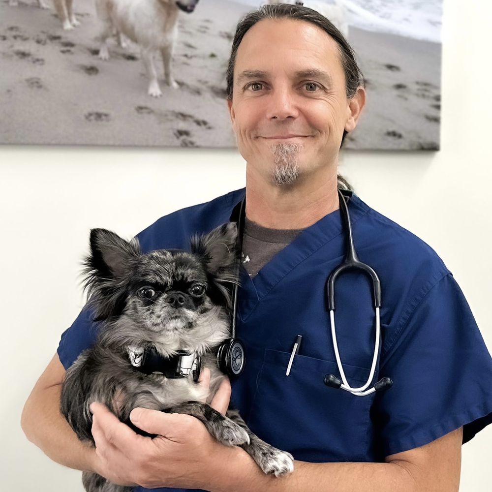 SAN MARCOS BLVD VETERINARY HOSPITAL AND URGENT CARE - Updated January ...