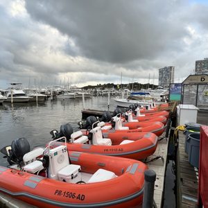 SAFE HARBOR PUERTO DEL REY - Updated December 2025 - 31 Photos ...