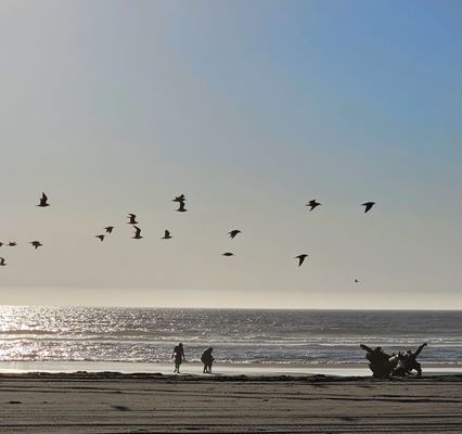 SUNSET BEACH STATE RECREATIONAL SITE - Updated October 2025 - 54 Photos ...