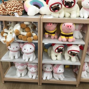 MINISO - 80 Photos - 2560 Fm 1960 Rd E, Houston, Texas - Home Decor ...