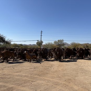 RETABLO - Updated December 2025 - 570 Photos & 56 Reviews - 6424 E Cave ...