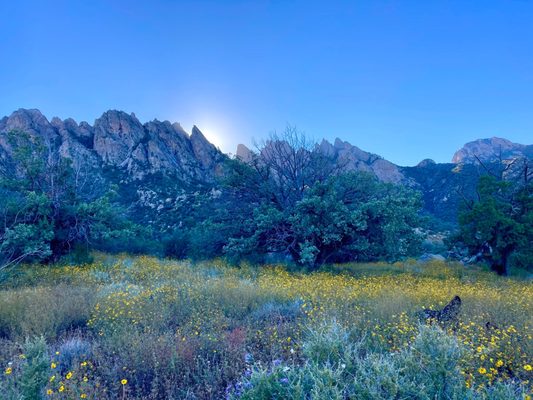 AGUIRRE SPRINGS - Updated August 2025 - 17 Photos - Aguirre Springs Rd ...