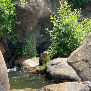 BUTTONWOOD PARK ZOO - Updated October 2024 - 185 Photos & 48 Reviews ...