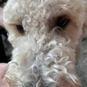 PETS R’INN - Updated December 2025 - 2800 S Columbia Rd, Grand Forks ...