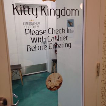 REGAL CAT CAFE - Updated January 2026 - 148 Photos & 44 Reviews - 303 ...