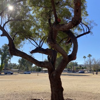 MOON VALLEY PARK - Updated December 2025 - 41 Photos & 17 Reviews - 502 ...