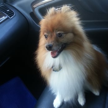 PAPPY’S PET LODGE - Updated August 2025 - 29 Photos & 46 Reviews - 401 ...