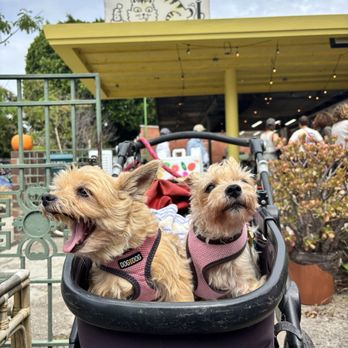 YELLOW PAPER BURGER - Updated August 2025 - 105 Photos & 81 Reviews ...