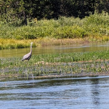 MACKS INN RIVER ADVENTURES - Updated May 2025 - 22 Photos & 19 Reviews ...