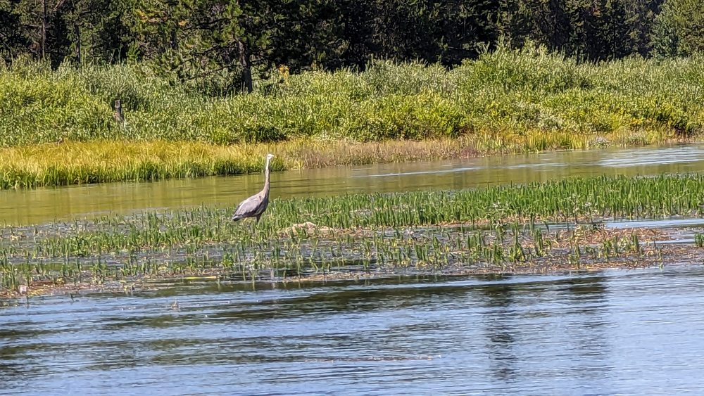 MACKS INN RIVER ADVENTURES - Updated July 2025 - 26 Photos & 21 Reviews ...