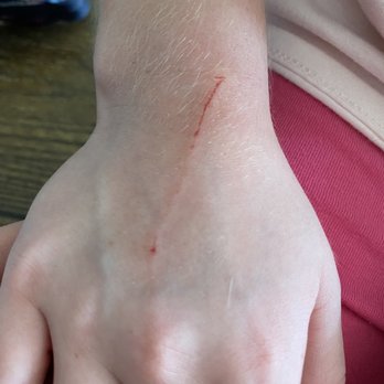 WINDKIST EQUESTRIAN CENTRE - Updated January 2026 - 15 Reviews - 125 ...