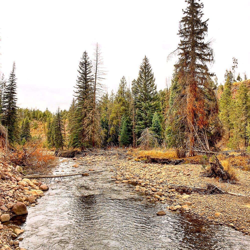 UPPER PROVO RIVER - 50 E Center St, Kamas, Utah - Hiking - Phone Number ...