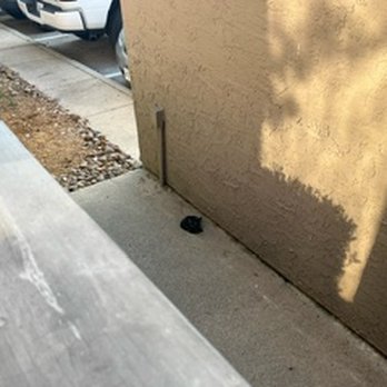 REALMANAGE DALLAS - Updated December 2025 - 22 Photos & 60 Reviews ...