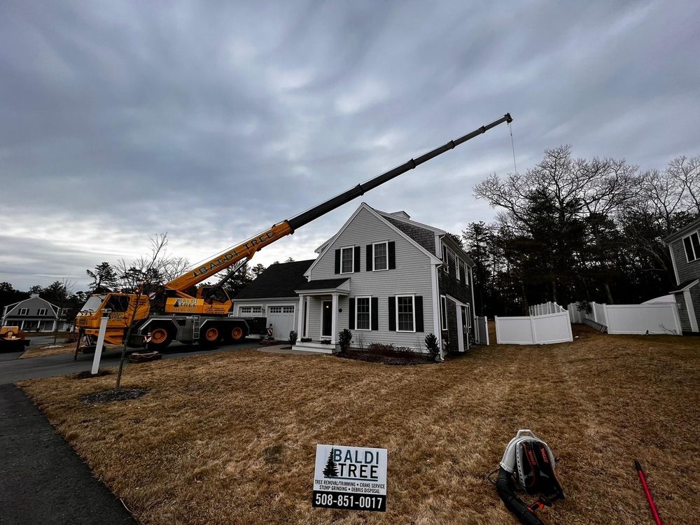 BALDI TREE - Updated December 2025 - 64 Photos - 403 Federal Furnace Rd ...