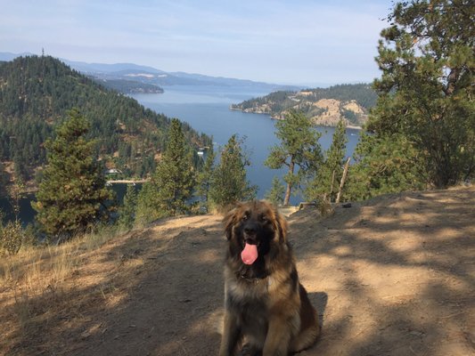 MINERAL RIDGE SCENIC TRAIL - Updated November 2025 - 41 Photos & 12 ...