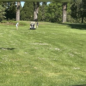 MALLARD CREEK GOLF COURSE - Updated June 2025 - 27 Photos & 17 Reviews ...