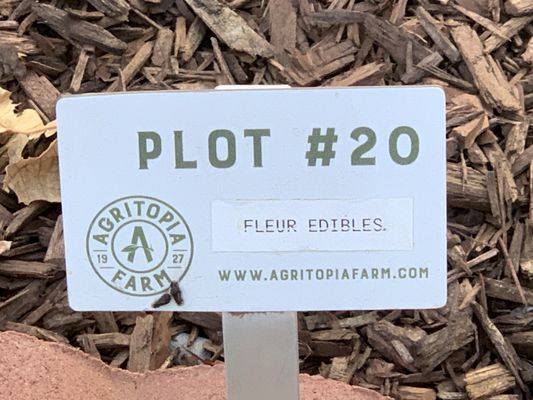 AGRITOPIA - Updated December 2025 - 141 Photos & 44 Reviews - 3000 E ...