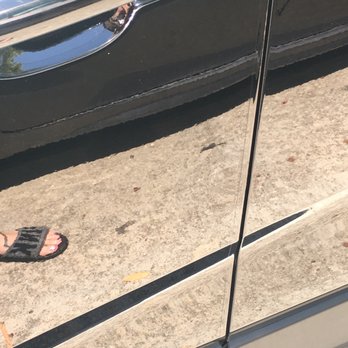 DENT DOGS INC - Updated June 2024 - 111 Photos & 171 Reviews - 3900 ...