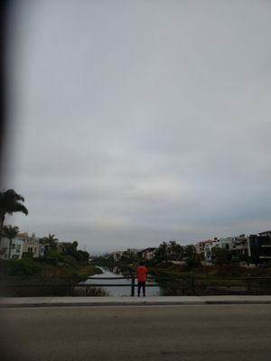 DEL REY LAGOON - 114 Photos & 46 Reviews - 6660 Esplanade Pl, Playa Del ...