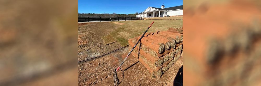 NEWPRO LANDSCAPES - Updated January 2026 - 31 Photos - Duluth, Georgia - Lawn Services - Phone ...