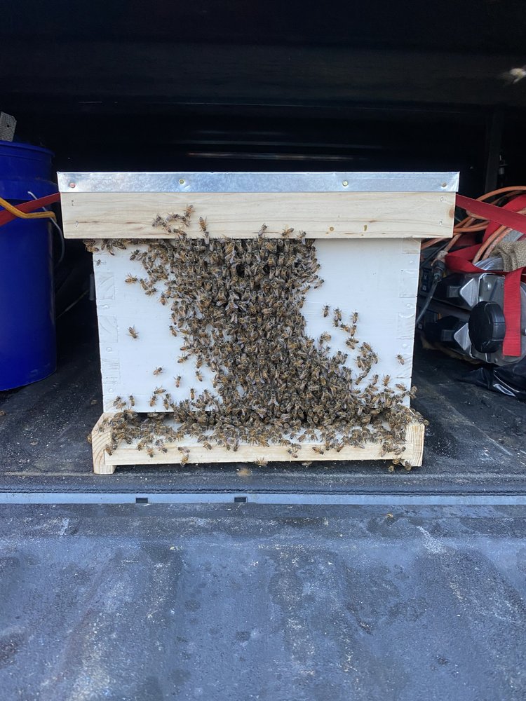 FRIENDLY BEE - Updated August 2025 - 26 Photos - Alpine, California ...