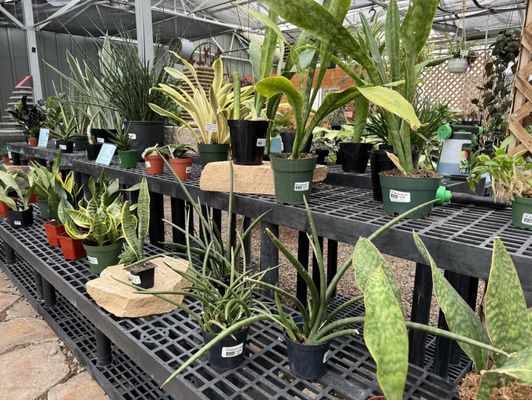 FOSSIL CREEK NURSERY - Updated January 2026 - 38 Photos & 19 Reviews ...