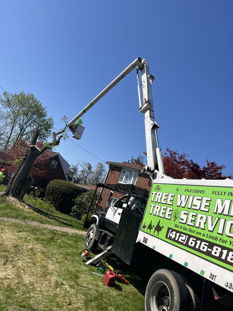 The Tree Wisemen - Trusted Since 2012 - Updated July 2025 - 118 ...