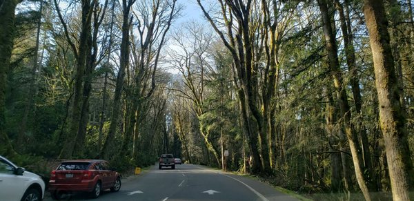 FIVE MILE DRIVE - 51 Photos & 20 Reviews - Five Mile Dr, Tacoma ...